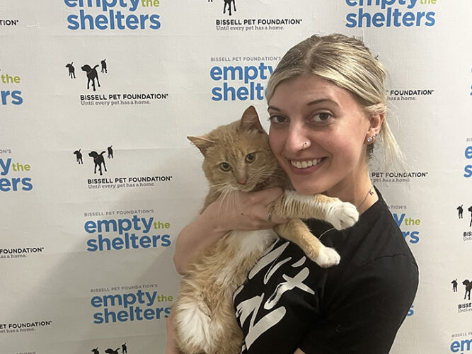 Alpena Municipal Council receives update on Huron Humane Society ...